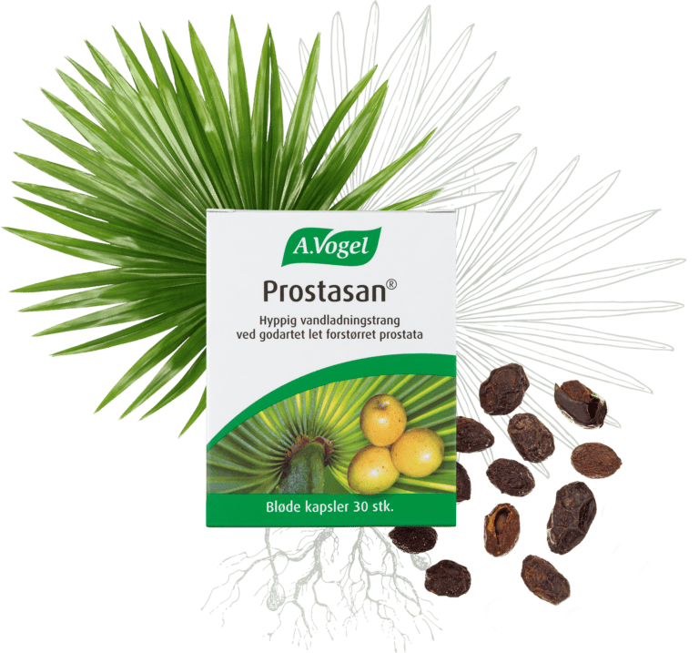 Prostasan® | Hjælp ved hyppig vandladningstrang | A. Vogel